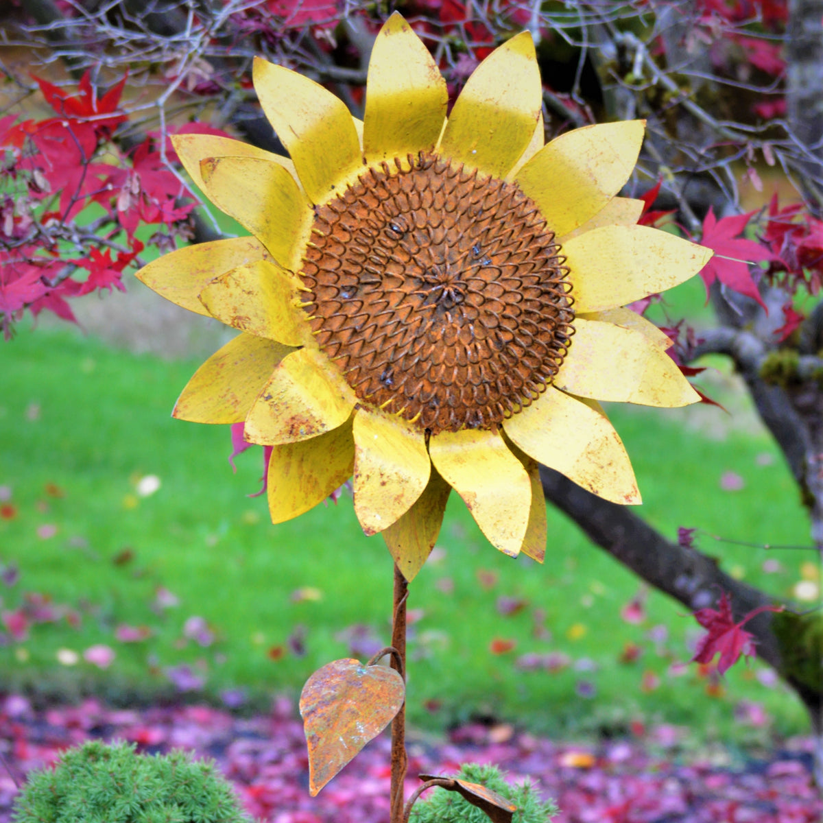 Large Stakes– Elegant Garden Design