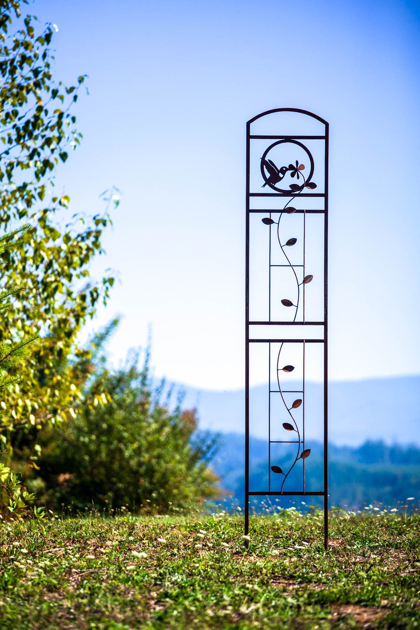 Hummingbird Trellis– Elegant Garden Design