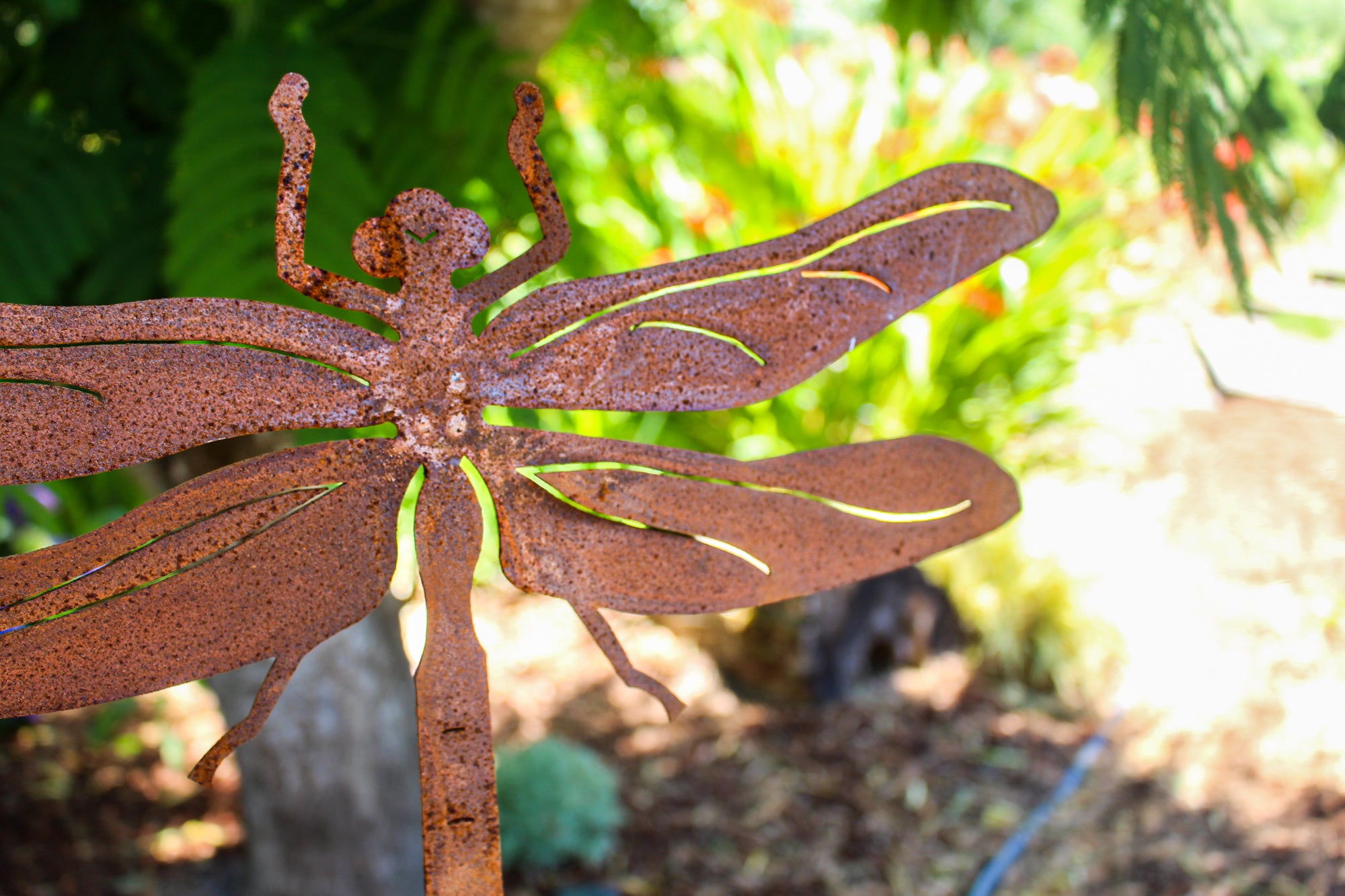 Amberwing Dragonfly Stake– Elegant Garden Design